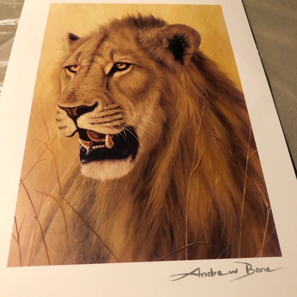 andrew bone | Wall Decor | Andrew Bone Young Warrior Picture Authentic ...